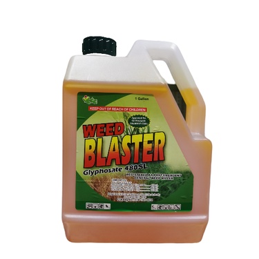 ROUND UP HERBICIDE / GLYPHOSATE HERBICIDES pamatay damo 1 GALLON (4 ...