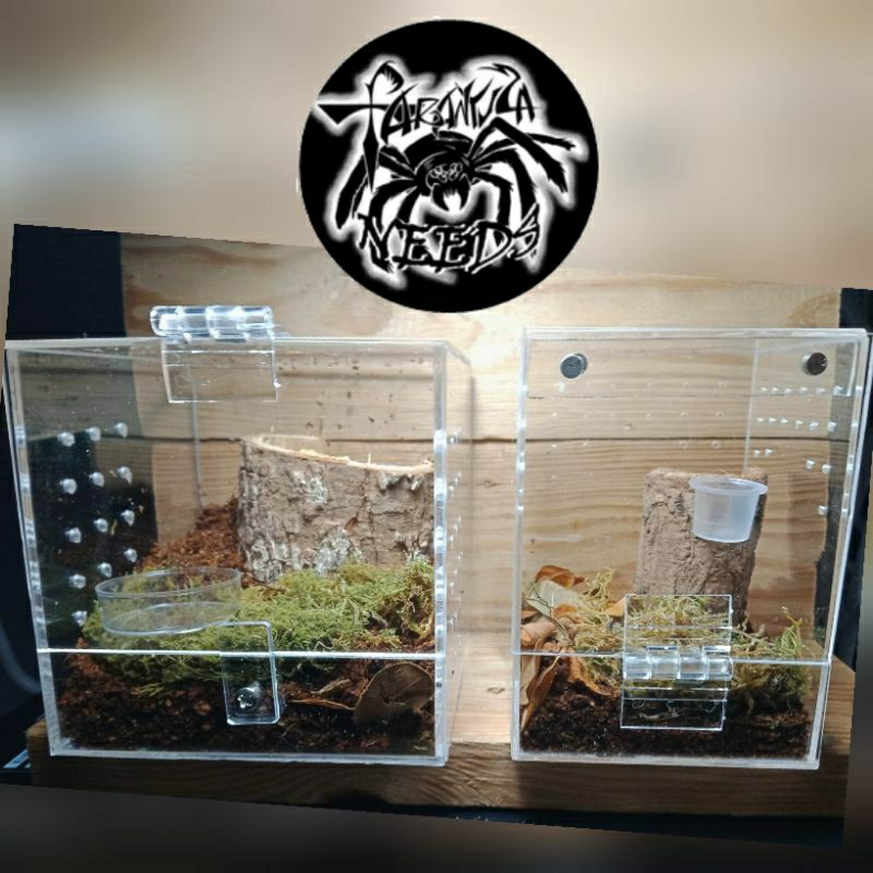 Tarantula Enclosure With Complete Setup (Cm-Inch Size) | Shopee Philippines