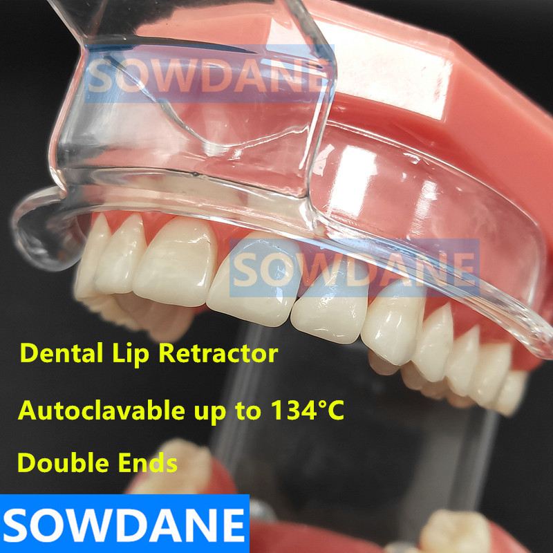 Dental Upper Lower Lip Retractor Double Head Lip Retractor Intraoral ...