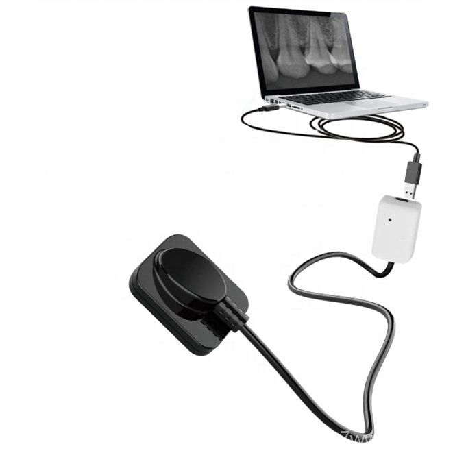 Dental intraoral digital X ray sensor advanced Top system Use with X ...