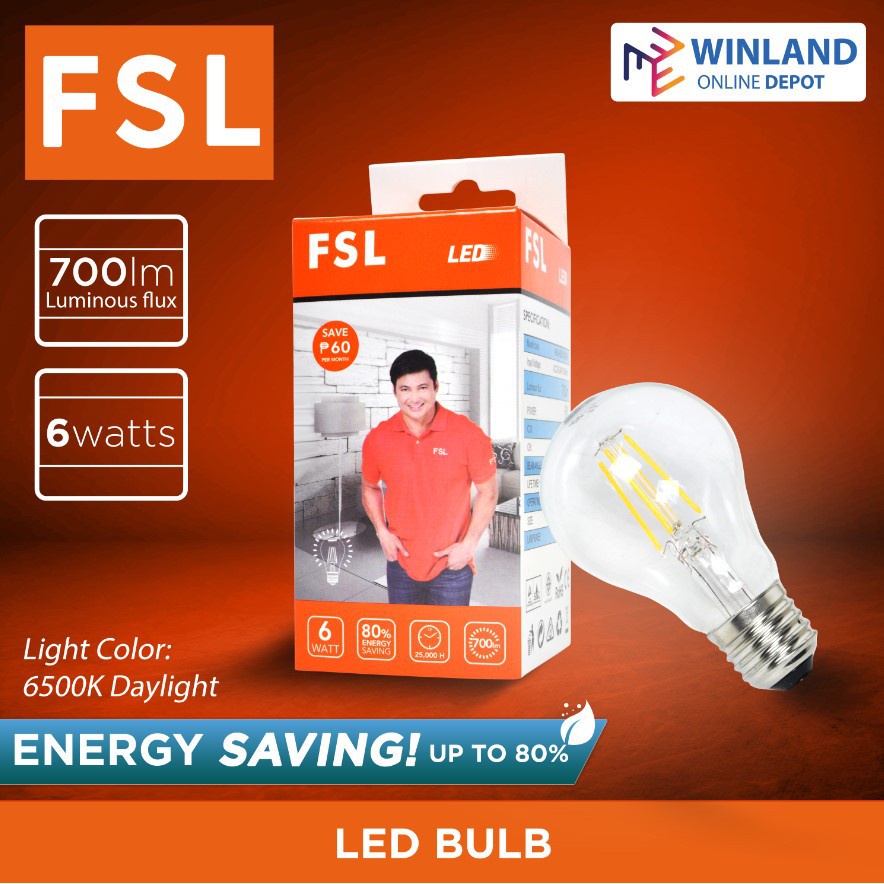 FSL by Winland Super Bright 6 watts Decorative Filament LED bulbs ...