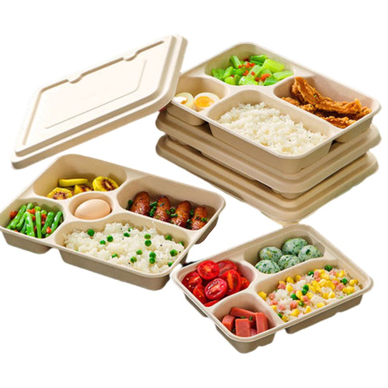 Biodegradable Disposable Sugarcane Bagasse Food Container 4 or 5 ...