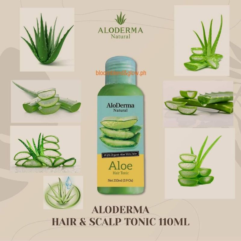 Aloe Derma Hair and Scalp Tonic (AloDerma Natural) | Shopee Philippines