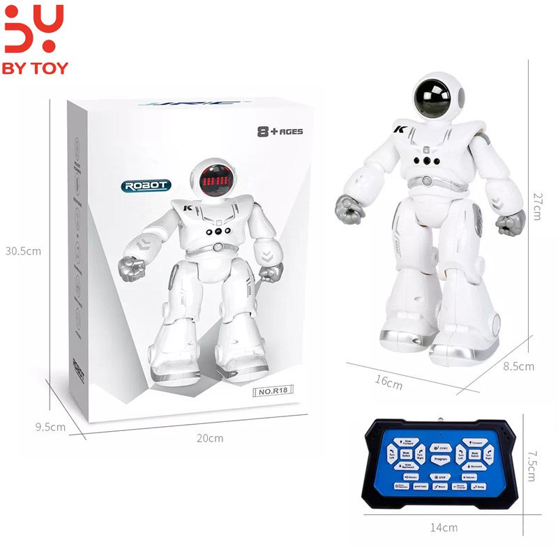 Multi-function Robot Toy Fight Dancing Cartoon Educational Toys Human ...