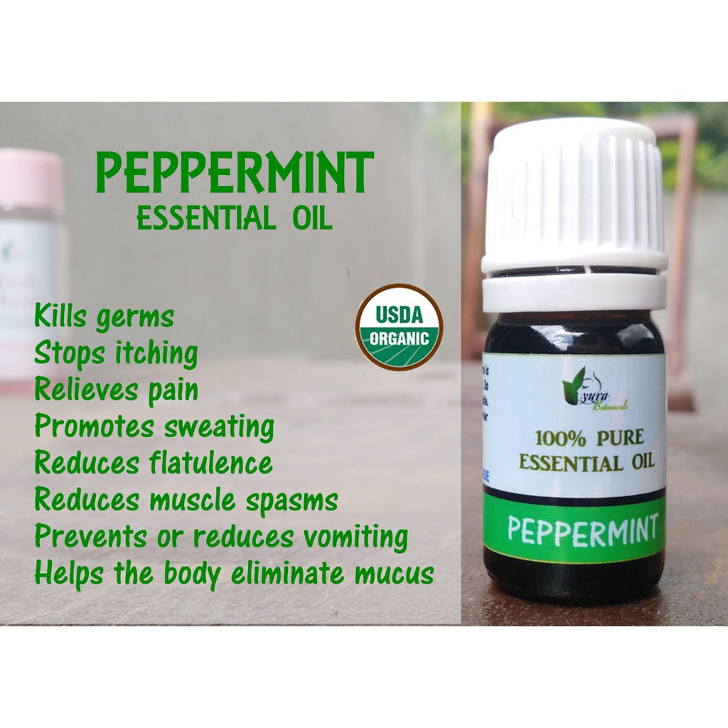Peppermint Essential Oil Anti-Stress, Enhances memory, eliminate mucus ...