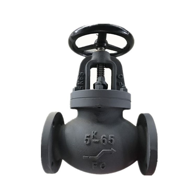 Marine Valve JIS F7305 5K and F7353 5K Cast Iron Globe Valve and Globe ...