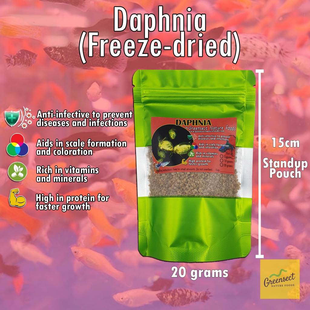 DAPHNIA Fish Food (DIRECT SUPPLIER) Treats 5-20 grams - Greensect ...