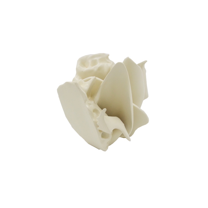 Enlarged Ethmoid Bone Model Skeletal System Anatomical Model Skull ...