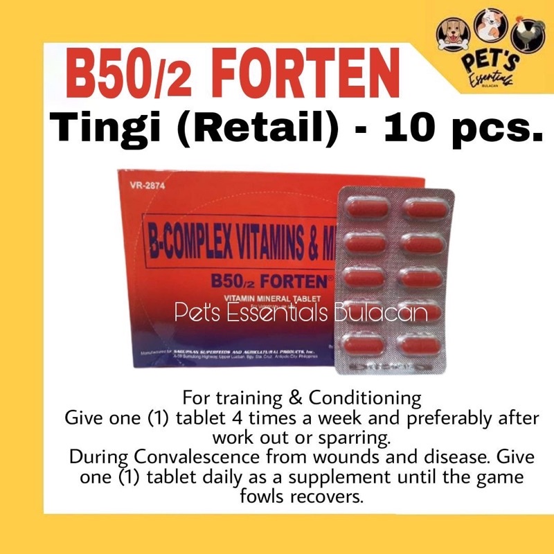 ☒B50/2 Forten Tingi (Retai) - Isang banig (10 pcs) | Shopee Philippines
