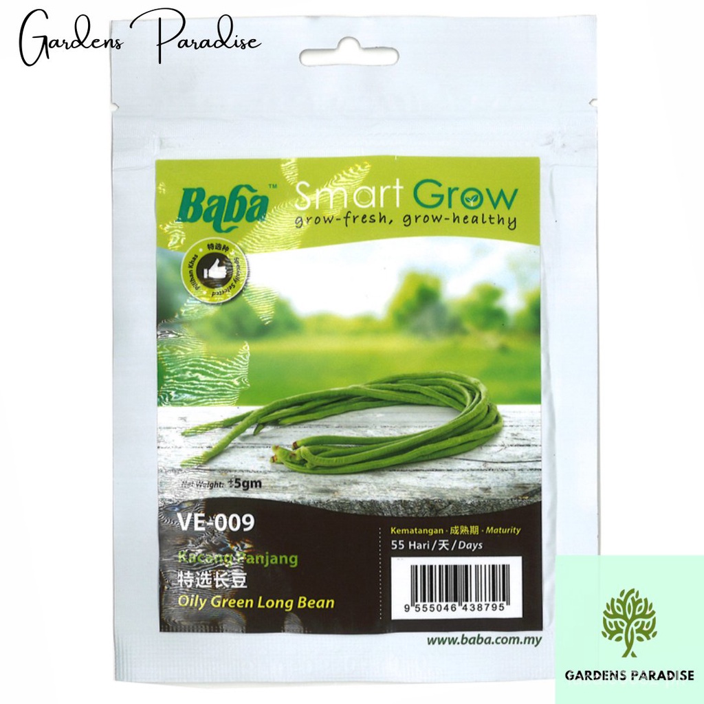 BABA Oily Green Long Bean Seeds By Gardens Paradise 4APF | Shopee ...