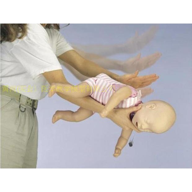 Advanced infant airway obstruction and CPR model infantile infarct ...