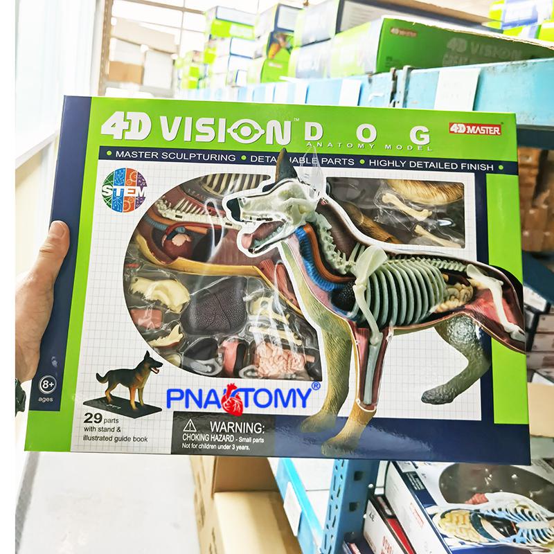 4D MASTER Animal Puzzle Dog Toys Animal Anatomical Models Detachable ...