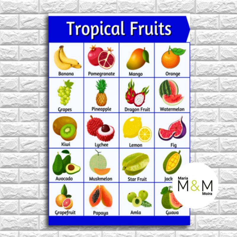 ∋LAMINATED Fruits & Vegetables Chart | A4 Size | Educational Wall Chart ...
