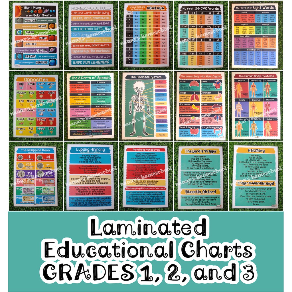 PART 2 Laminated Educational Wall Charts for Grades 1, 2, 3 - A4 Size ...