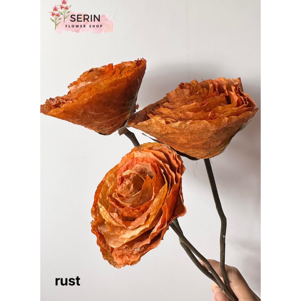 Dried FOSSILIZED ROSE per pc Flowers Roses DRIED FLOWER BAZAAR | Shopee ...