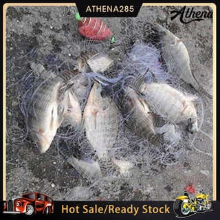 shoal - Best Prices and Online Promos - Aug 2024 | Shopee Philippines