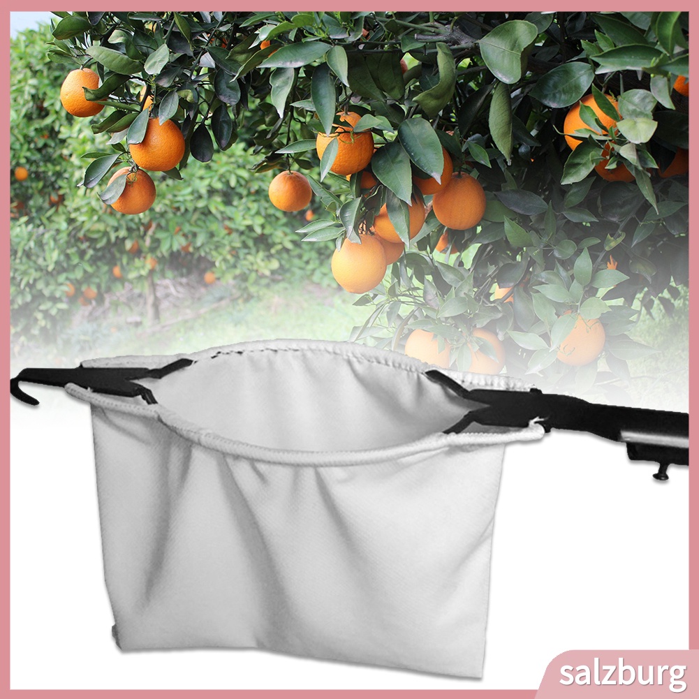 (salzburg) Metal Fruit Picker Orchard Gardening Apple Peach High Tree ...