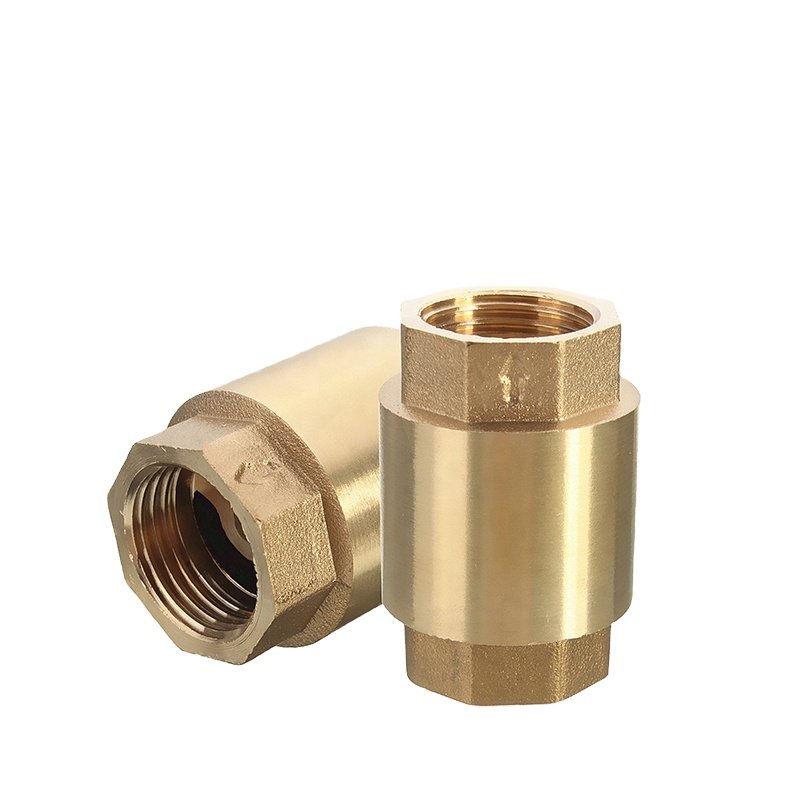 2022 Hot Sale Classic Water Non-return Valve Pressure Washer Check ...