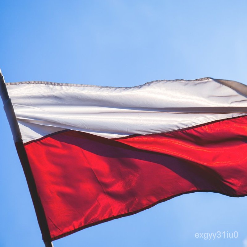 Diverse International 3x5 ft National Flag Collection All Countries ...