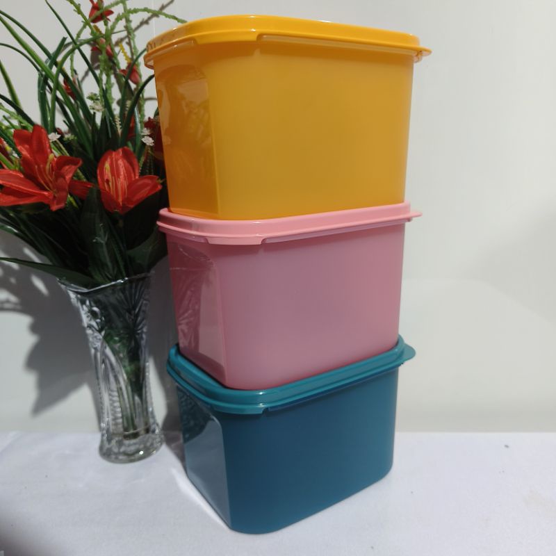 Tupperware Brands Mini Space Saver 1.9L(1pc) | Shopee Philippines