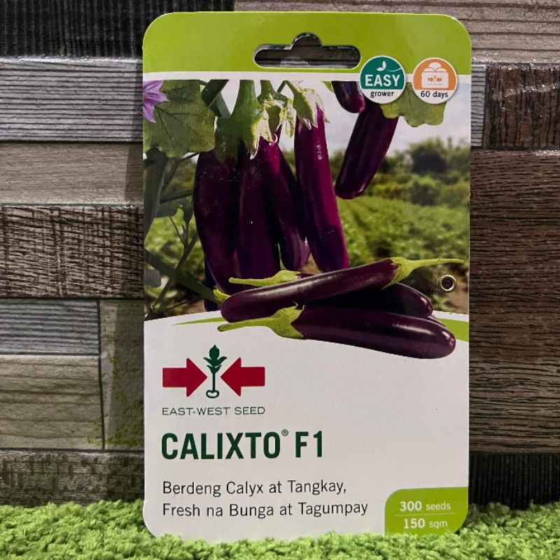 CALIXTO F1 EAST WEST HYBRID EGGPLANT TALONG SEEDS GO GROW HOME ...