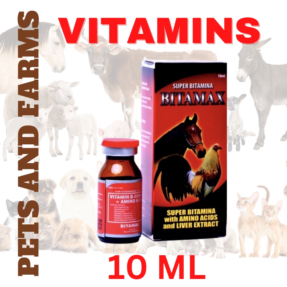 BITAMAX VITAMIN B COMPLEX FOR INJECTION 10ML | Shopee Philippines