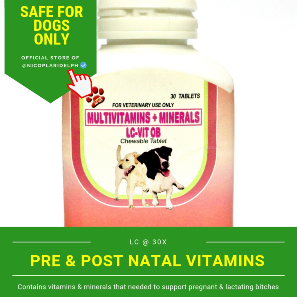 ℗LC Vit OB Chewable Tablets Vitamin and Mineral Support for Pregnant ...