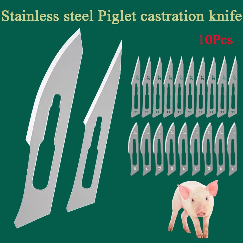 ﹍10Pcs Pig Blade Piglet Castration Knife Veterinary Scalpel Castration Tools For Pig | Shopee ...