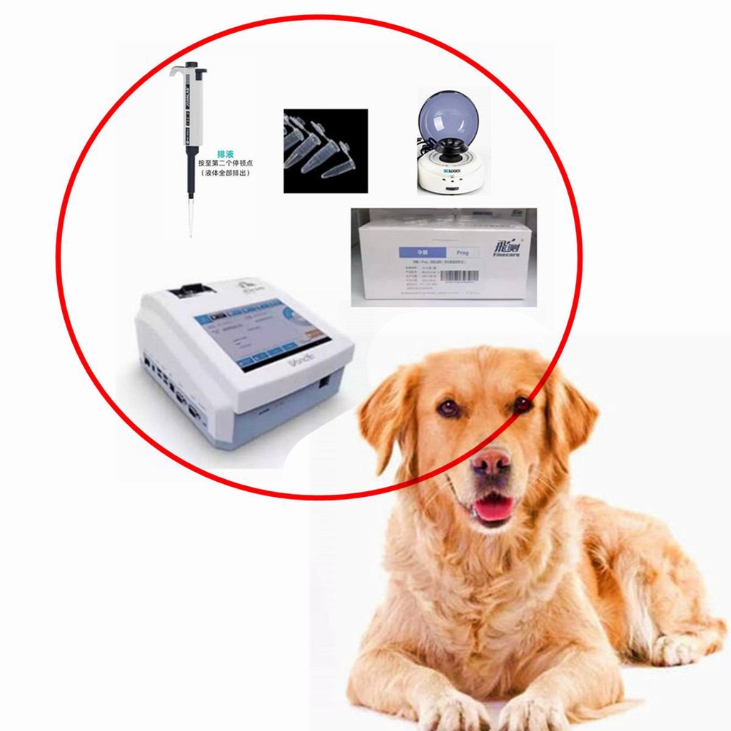 Animal Dog Wondfo Finecare 2 Plus Portable Chemistry Analyzer Blood ...