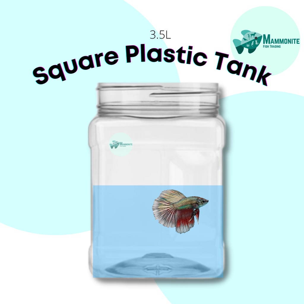 ☈Aquarium Plastic Jar for Betta Fish Tank Container No Lid 3.5L 2L ...