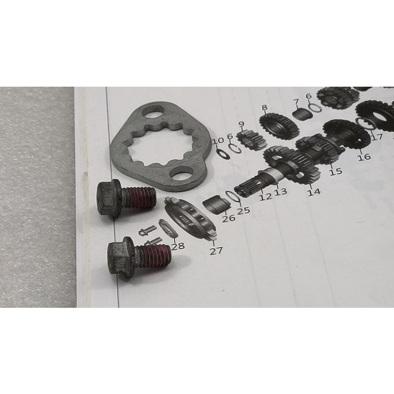 Engine Sprocket Lock with Bolt Dominar400 Genuine | Shopee Philippines