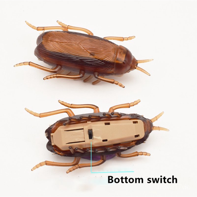 Alive Electric Cockroach Toy, Battery-Powered Mock Cockroach Toy Model ...