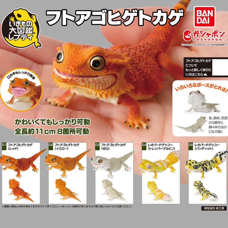 [Ready Stock] BANDAI BANDAI Gashapon Biological Illustrated Book ...