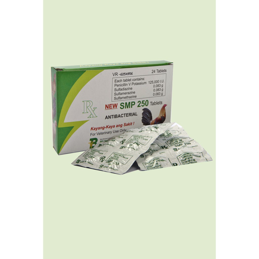 SMP 250 Tablet (24's) | Shopee Philippines