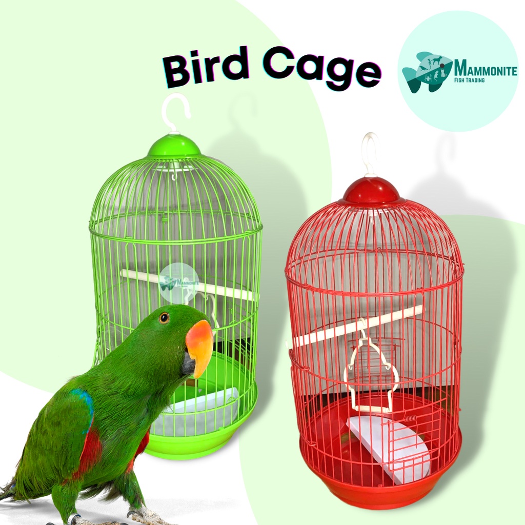 Pet Bird Cage with Swing Perch Bird Cage Pet Cage for Birds with Swing ...