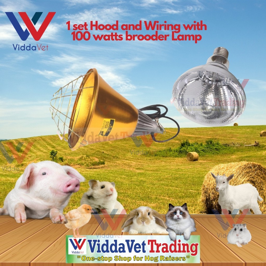 1 set hood and wiring with 100watts brooder lamp/ infrared bulb for ...