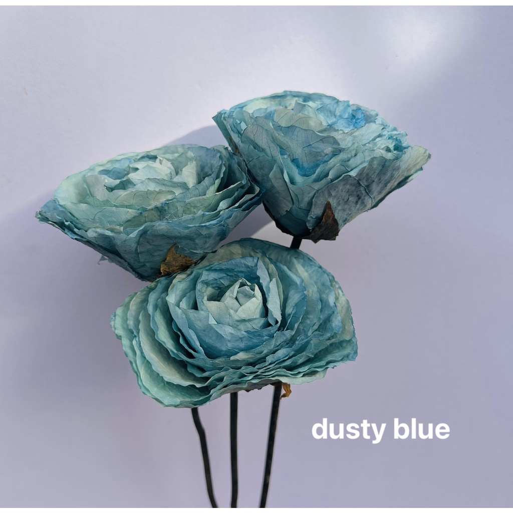 Dried FOSSILIZED ROSE per pc Flowers Roses DRIED FLOWER BAZAAR | Shopee ...