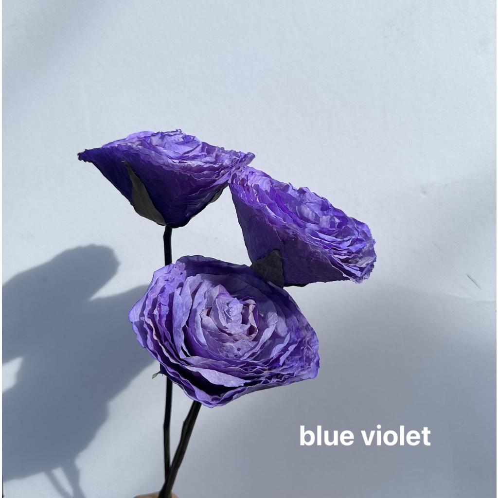 Dried FOSSILIZED ROSE per pc Flowers Roses DRIED FLOWER BAZAAR | Shopee ...