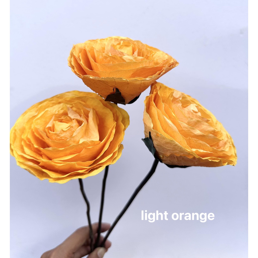 Dried FOSSILIZED ROSE per pc Flowers Roses DRIED FLOWER BAZAAR | Shopee ...