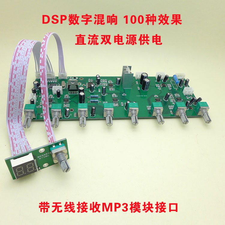 100 Effects DSP Digital Reverberation Board Cara OK Speaker Microphone ...