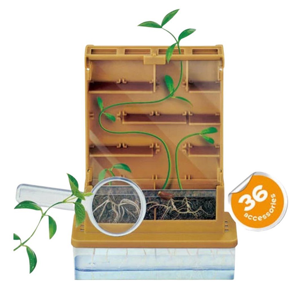 Grow A Maze DIY Plant Box for Kids (STEM KIT) | Shopee Philippines