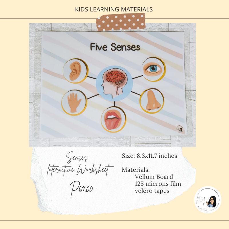 5 SENSES INTERACTIVE LAMINATED WORKSHEET | Shopee Philippines