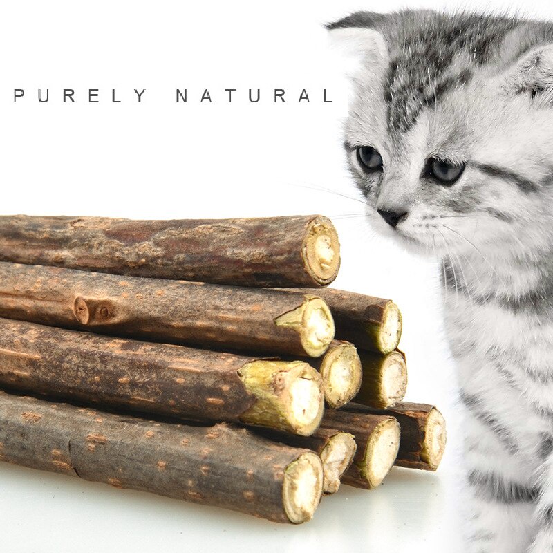 Catnip Sticks for Cats Treat Toy Cat Mint Chew Stick Matatabi Polygama ...