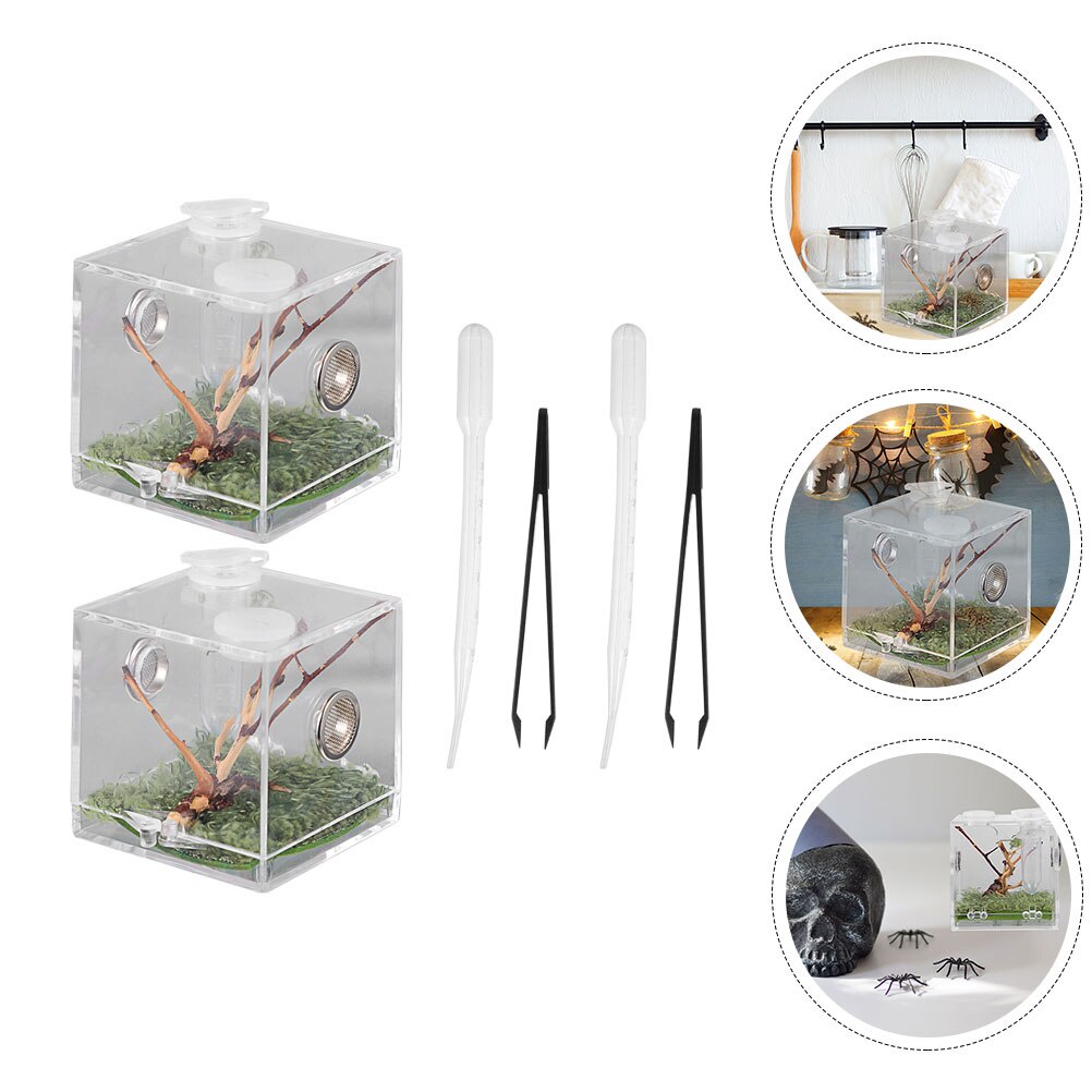 Plastic Box Case Reptiles Snail Insect Acrylic Jumping Animal Tank ...