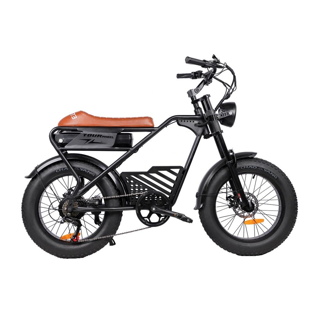 Factory Price Moped Ebike Mens 750W 1000W Motor Fatbike Electric Eu ...