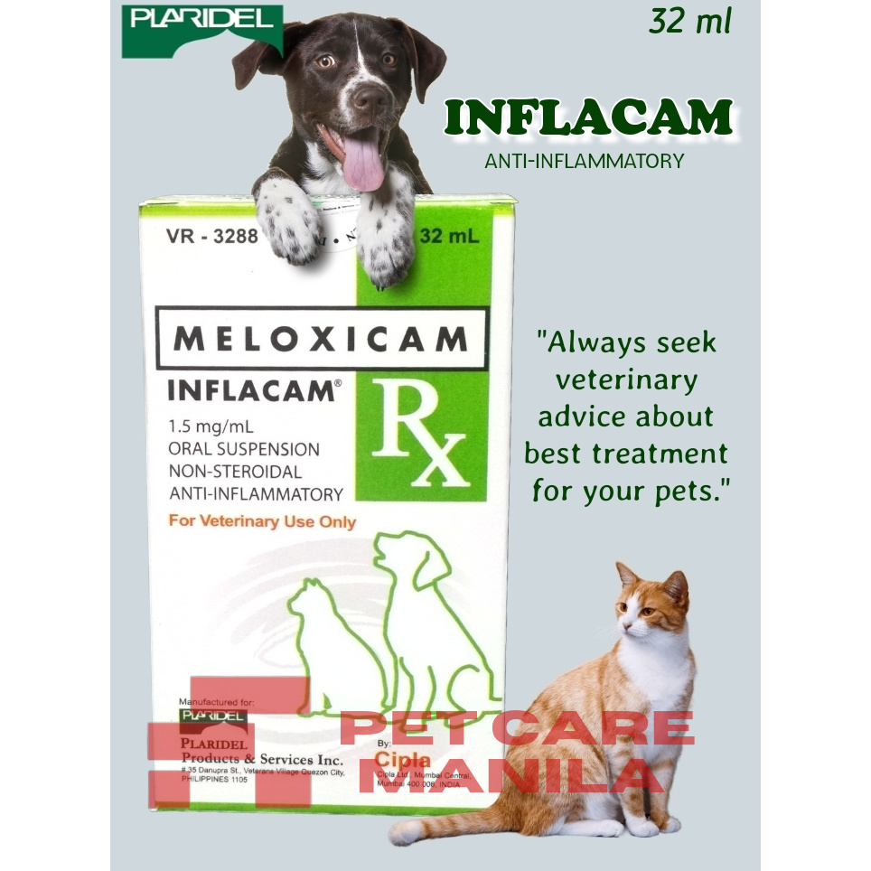 2024 15mg MELOXICAM 32ml ml per INFLACAM | Shopee Philippines