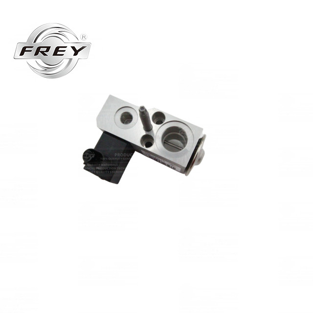 FREY auto parts Air Conditioning Systems Expansion Valve for mercedes ...