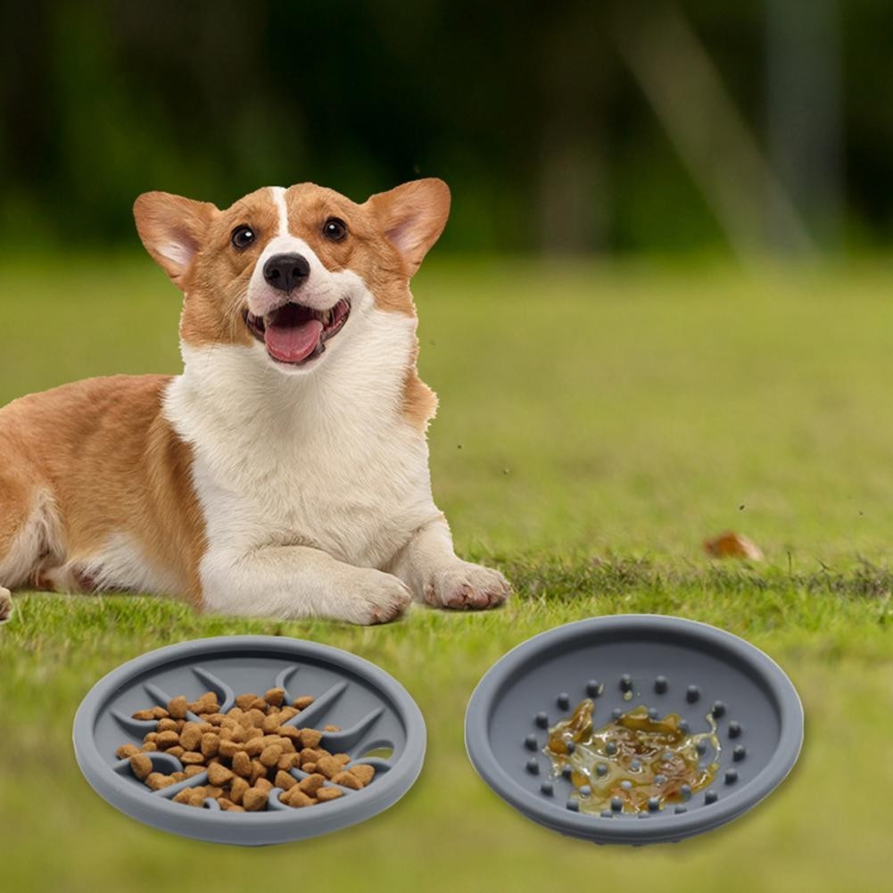 ♀Dog Feeding Toy with Food Leakage Design Dog Feeding Toy Automatic ...