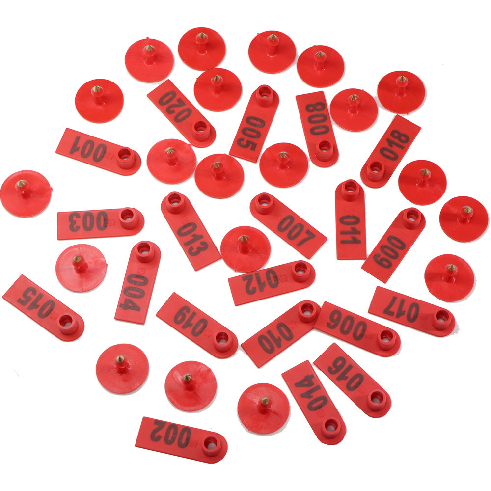 ☢20PCS Goat Sheep Rabbit Pig Ear Tag With The Word Ear Laser Typing ...