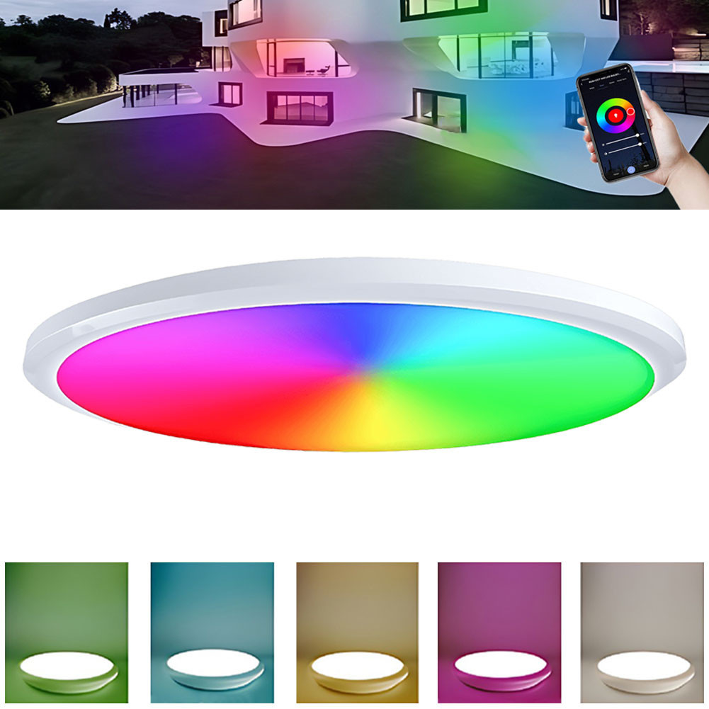 Smart Ceiling Light Flush Mount Ceiling Light Compatible with Alexa Low ...